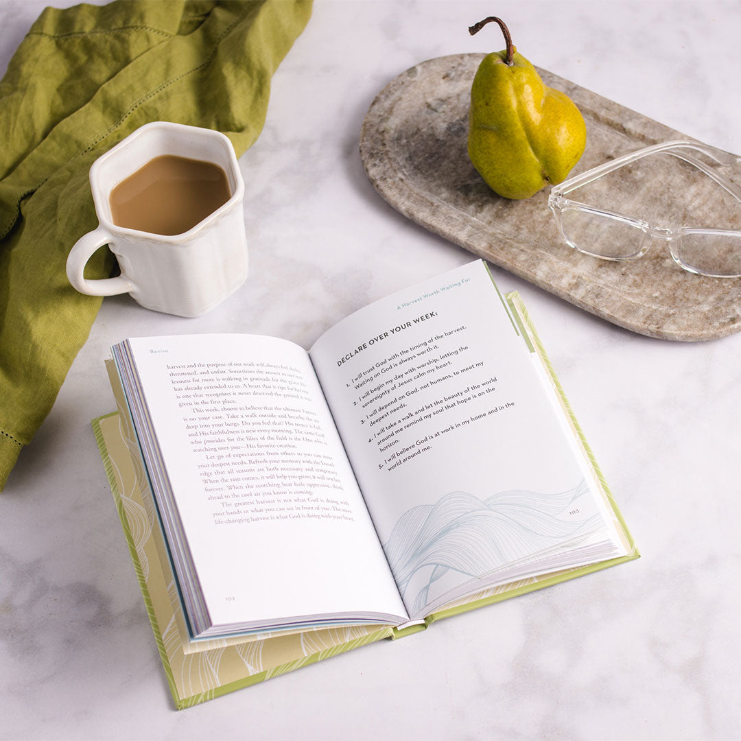 Revive: Declaration of God's Truth to Renew Your Spirit – Cleerely Stated